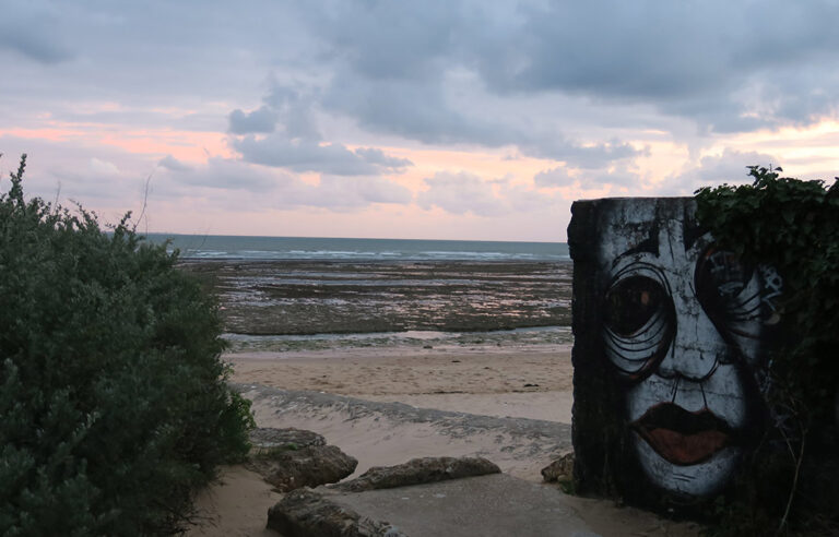 Visiter Sainte Marie de Ré : que voir et que faire à Sainte Marie de Ré