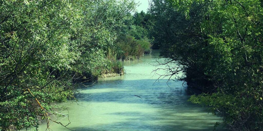 À la découverte de la Venise Verte : histoire, lieux d'intérêts, et ...
